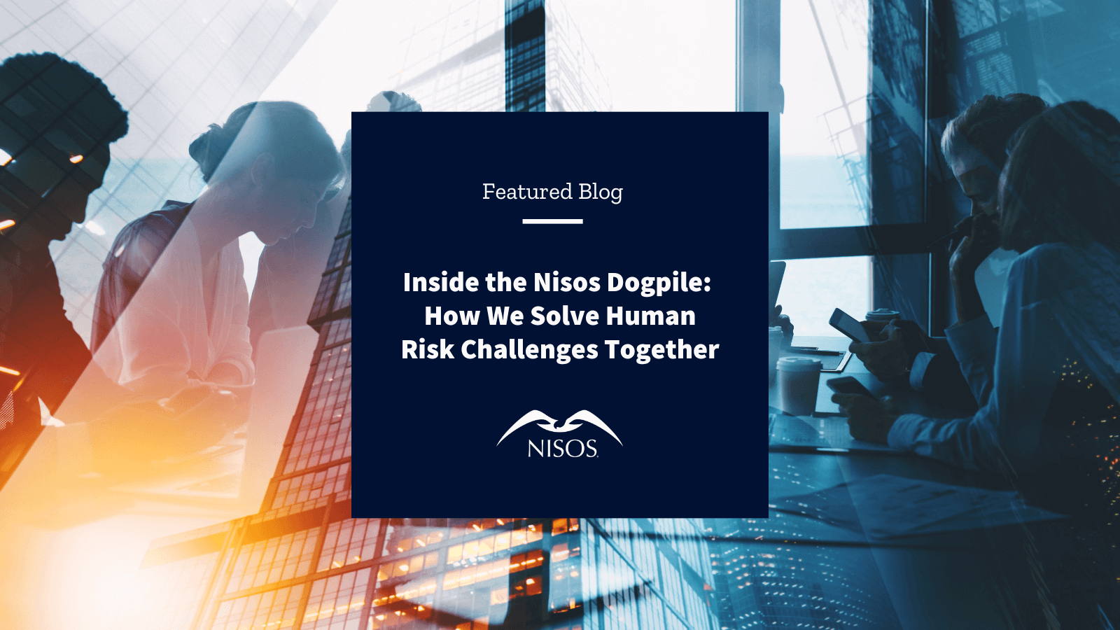 Inside the Dogpile: Solving Human Risk, Together - Nisos